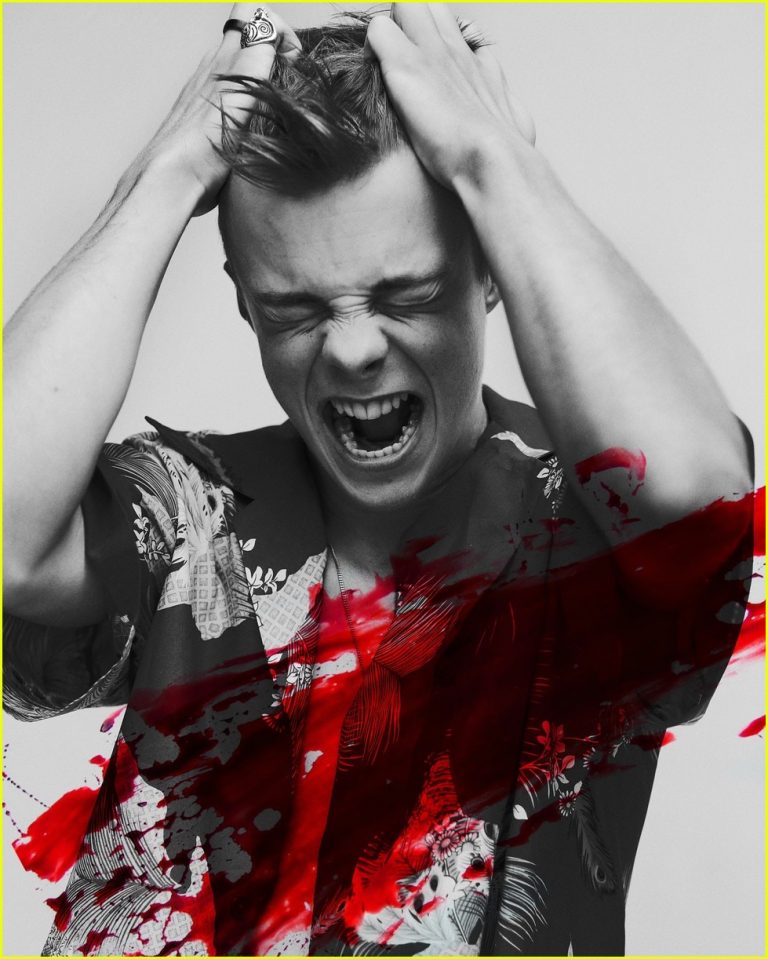 Nicholas Hamilton - Biography, Height & Life Story | Super Stars Bio