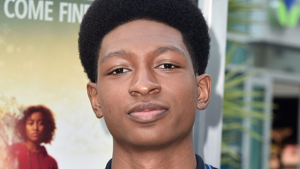 Skylan Brooks - Biography, Height & Life Story | Super Stars Bio