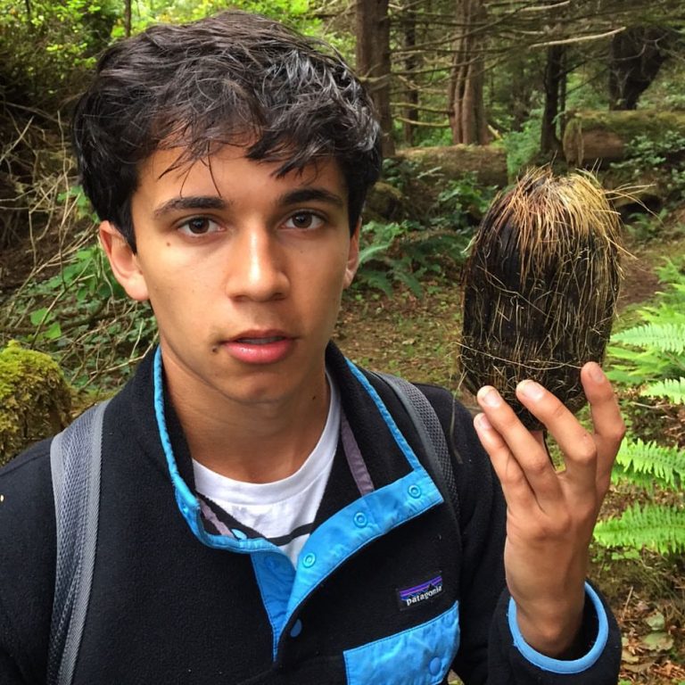 Ajay Friese - Biography, Height & Life Story | Super Stars Bio