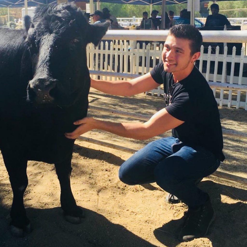 Mateus Ward - Biography, Height & Life Story | Super Stars Bio