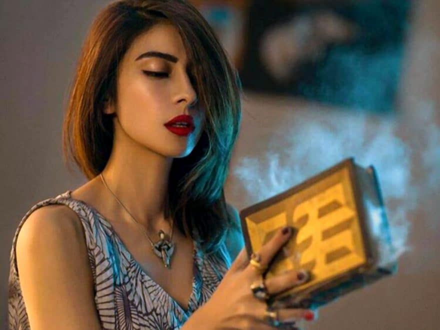 Meesha Shafi - Biography, Height & Life Story | Super Stars Bio