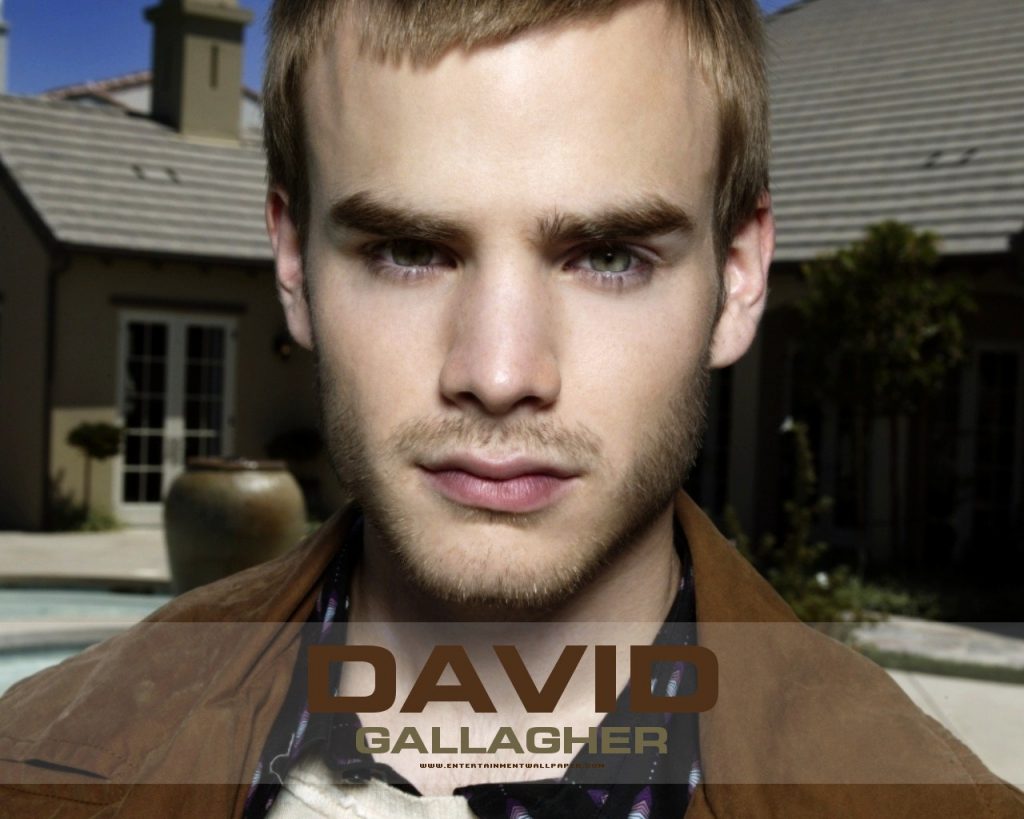 David Gallagher - Biography, Height & Life Story | Super Stars Bio