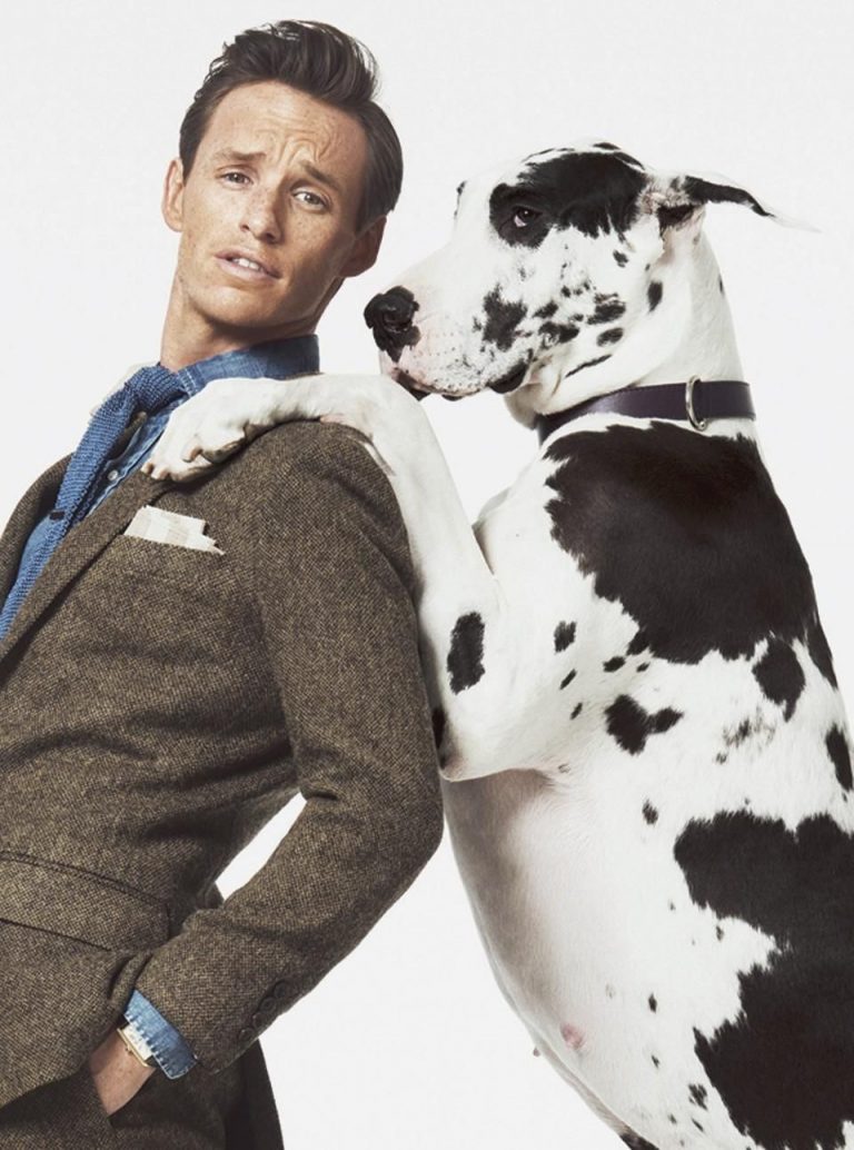 Eddie Redmayne - Biography, Height & Life Story | Super Stars Bio
