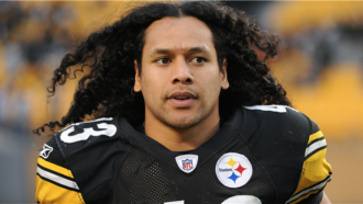 Troy Polamalu - Biography, Height & Life Story | Super Stars Bio