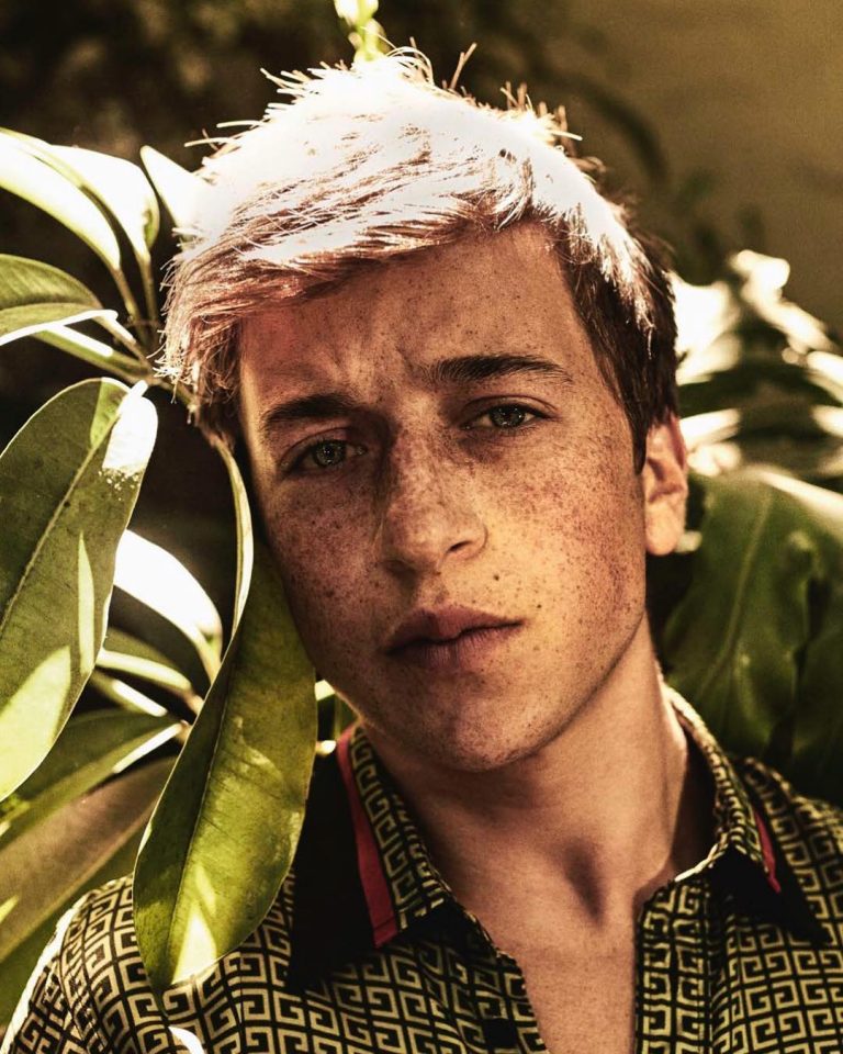 Skyler Gisondo - Biography, Height & Life Story | Super Stars Bio