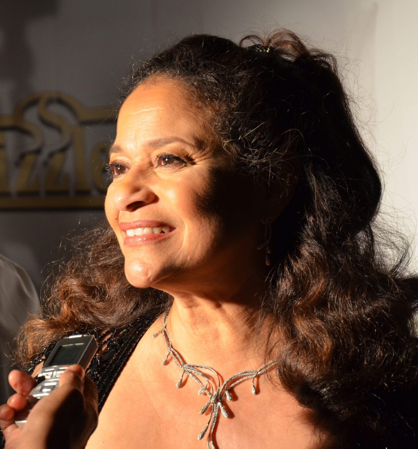 Debbie Allen - Biography, Height & Life Story | Super Stars Bio