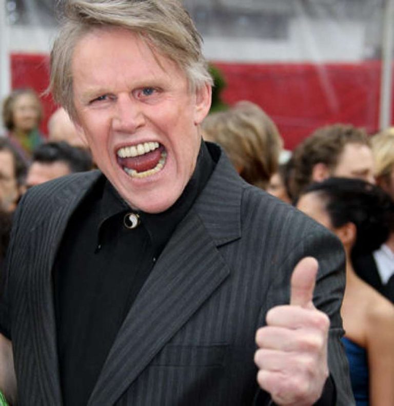 Gary Busey - Biography, Height & Life Story | Super Stars Bio