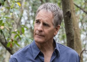 Scott Bakula - Biography, Height & Life Story | Super Stars Bio