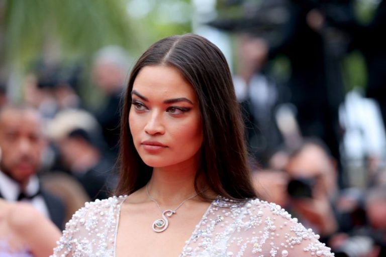 Shanina Shaik - Biography, Height & Life Story | Super Stars Bio