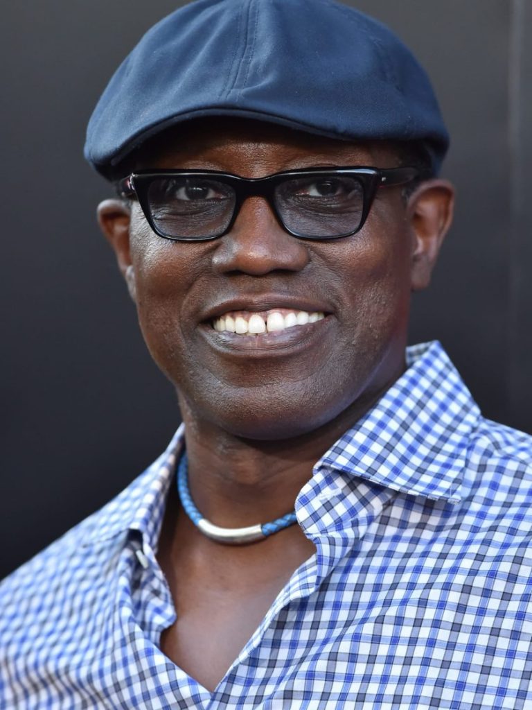 Wesley Snipes - Biography, Height & Life Story | Super Stars Bio