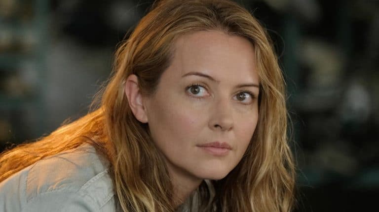 Amy Acker - Biography, Height & Life Story | Super Stars Bio