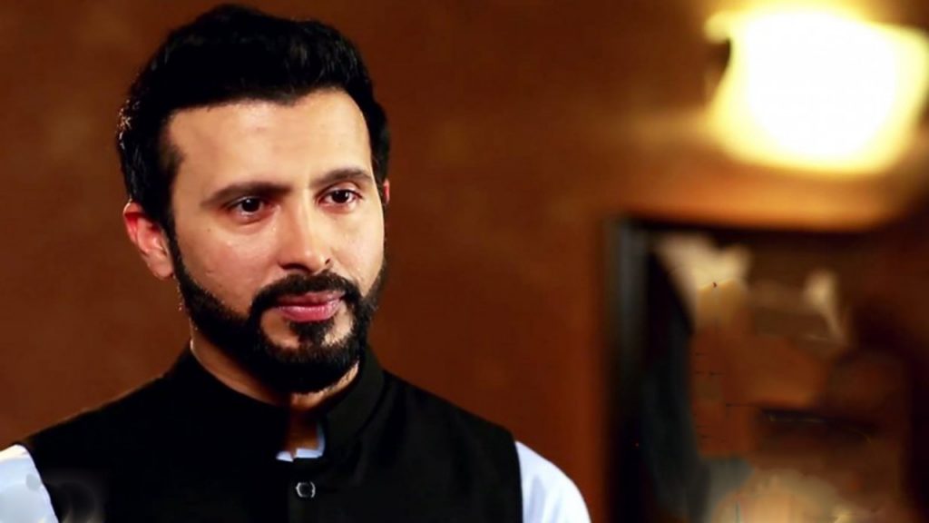 Ali Kazmi - Biography, Height & Life Story | Super Stars Bio