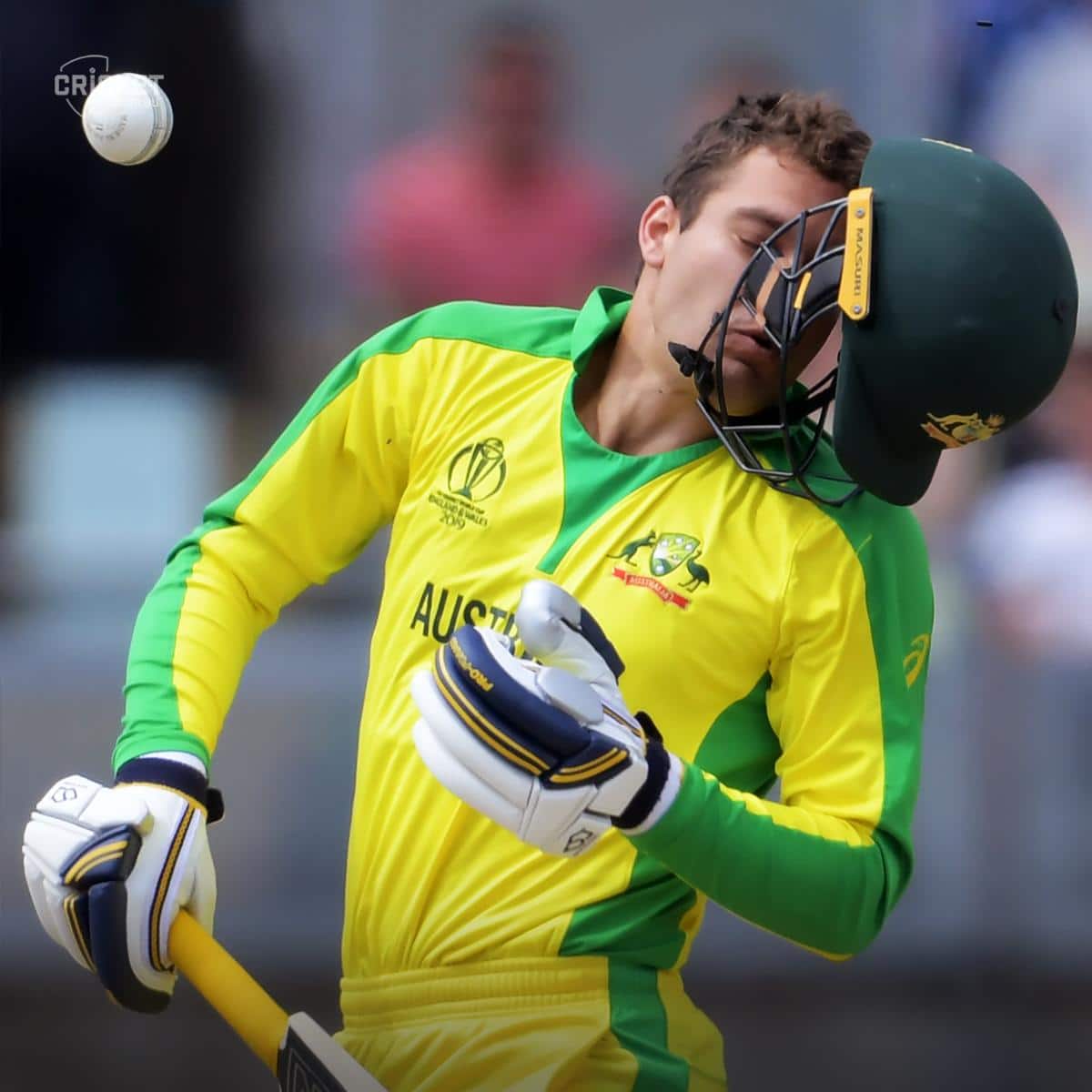 Alex Carey - Biography, Height & Life Story | Super Stars Bio