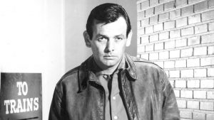 David Janssen - Biography, Height & Life Story | Super Stars Bio