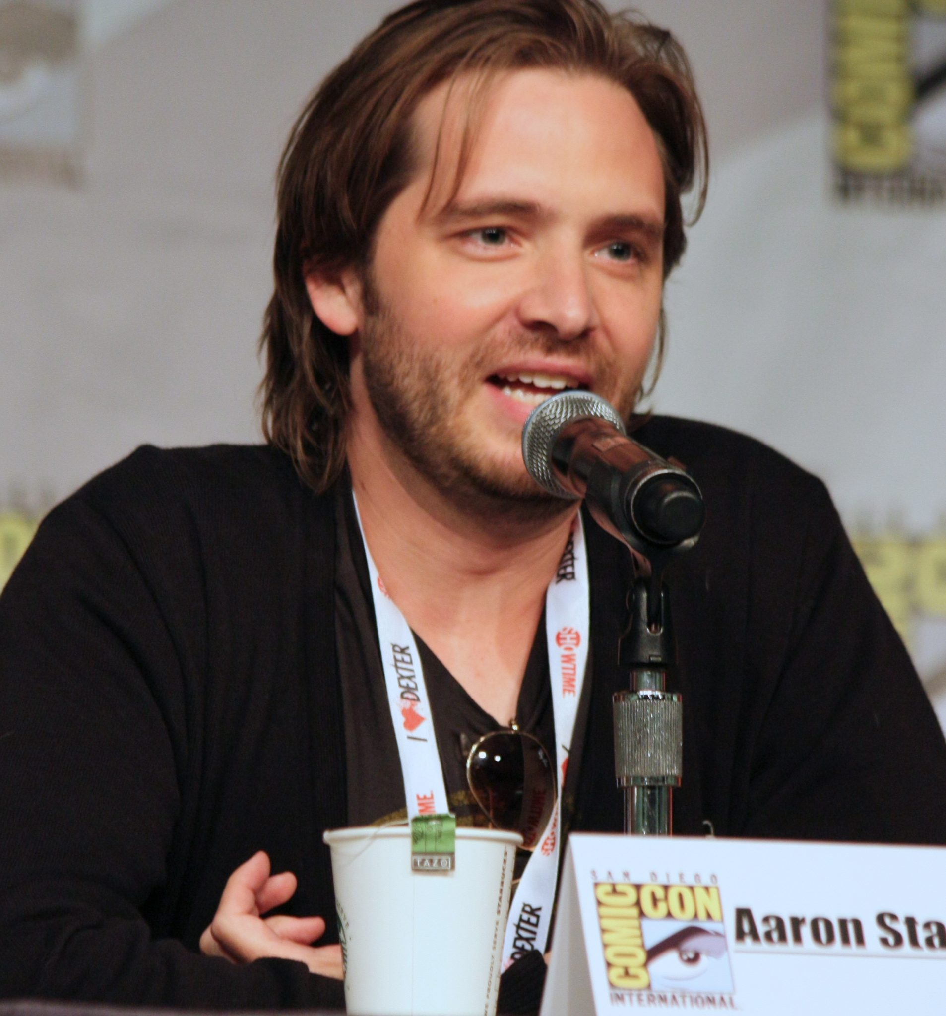 Aaron Stanford - Biography, Height & Life Story | Super Stars Bio