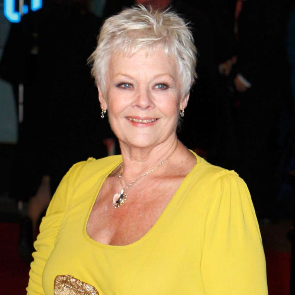 Judi Dench - Biography, Height & Life Story | Super Stars Bio