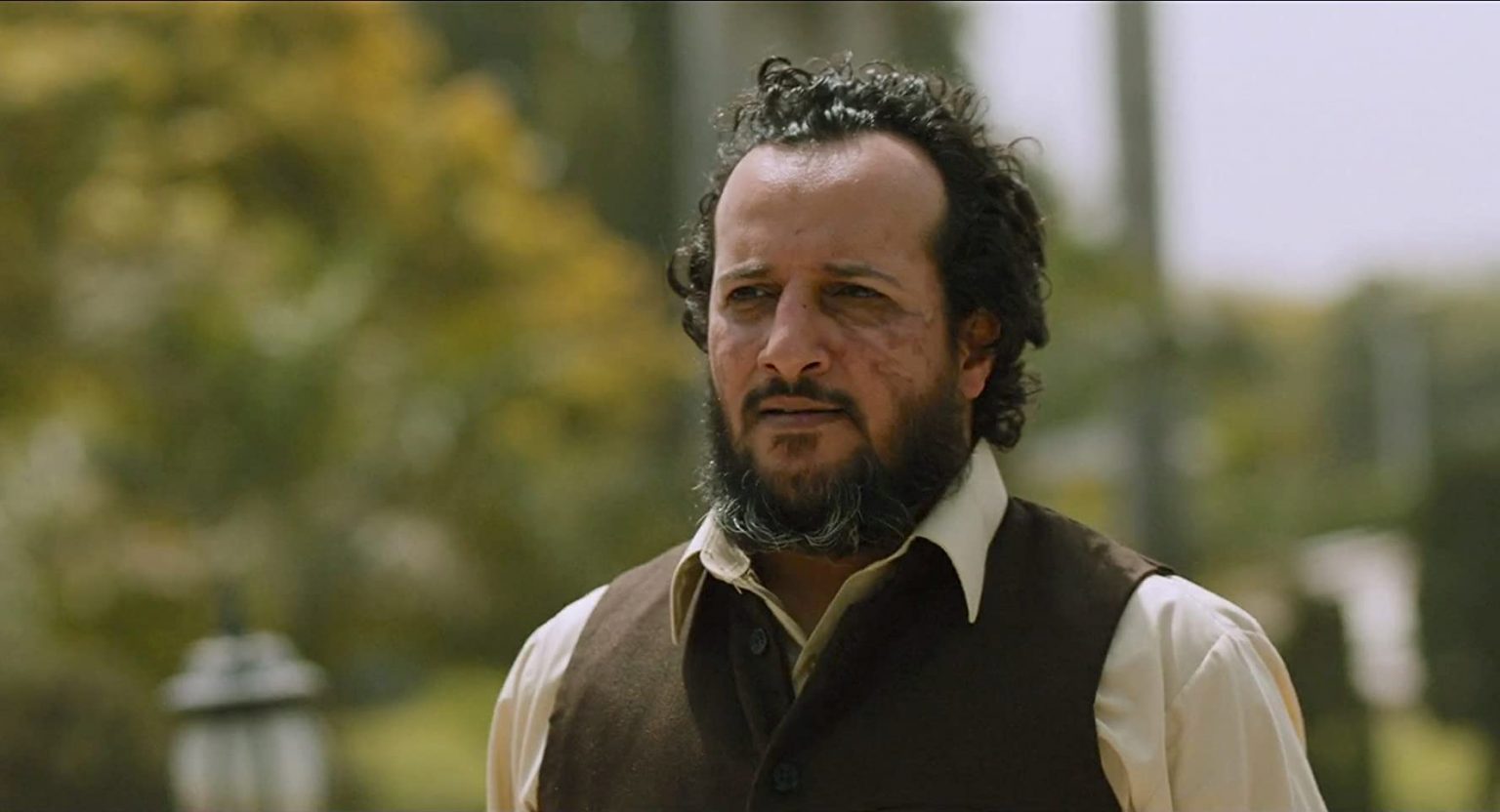 Yoav Levi - Biography, Height & Life Story | Super Stars Bio