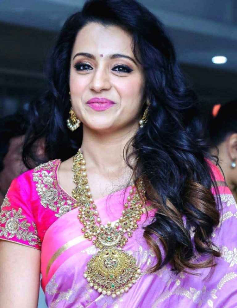 8 Things You Didn't Know About Trishna Krishnan - Super Stars Bio