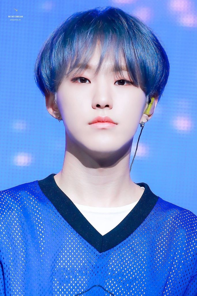 Hoshi - Biography, Height & Life Story | Super Stars Bio