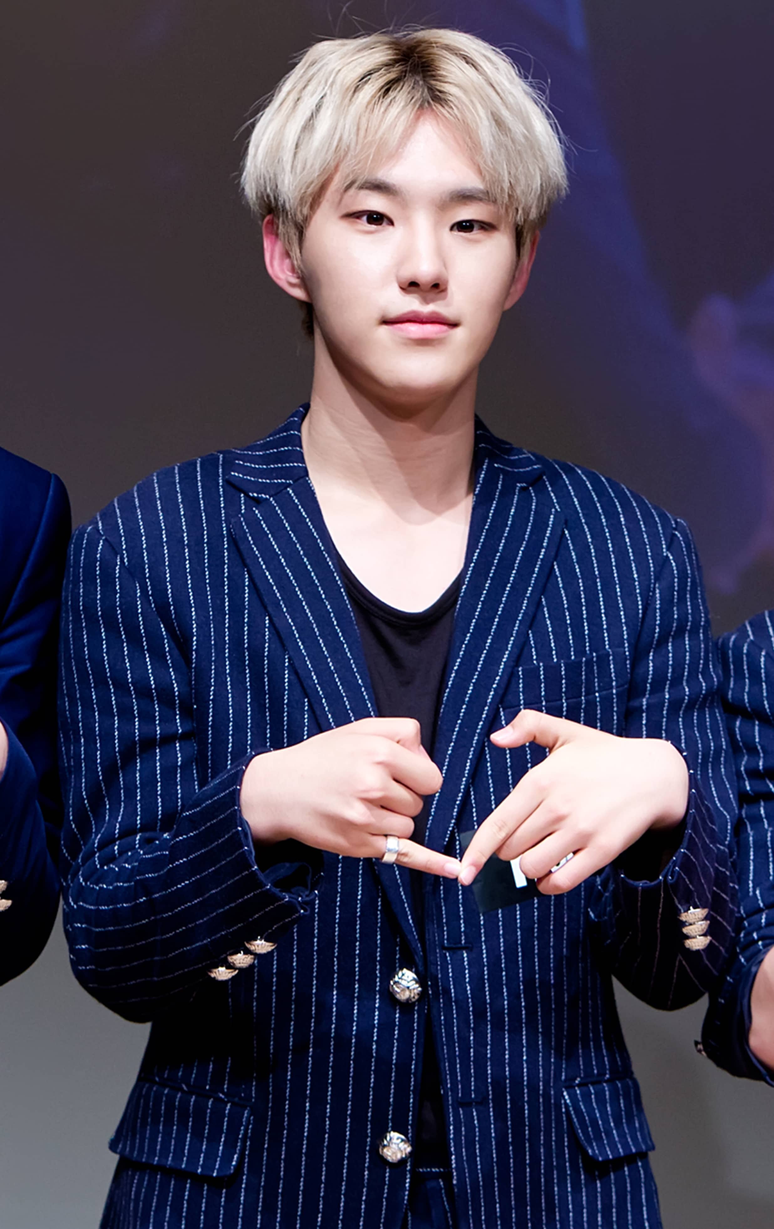 Hoshi - Biography, Height & Life Story | Super Stars Bio
