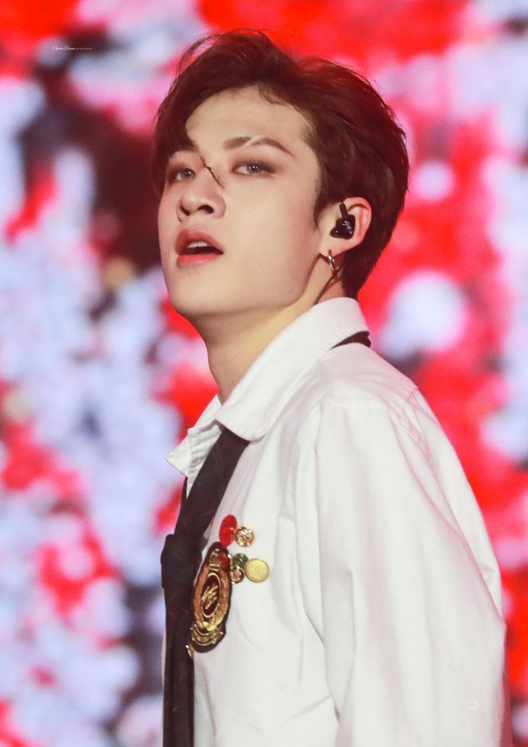 Bang Chan - Biography, Height & Life Story | Super Stars Bio