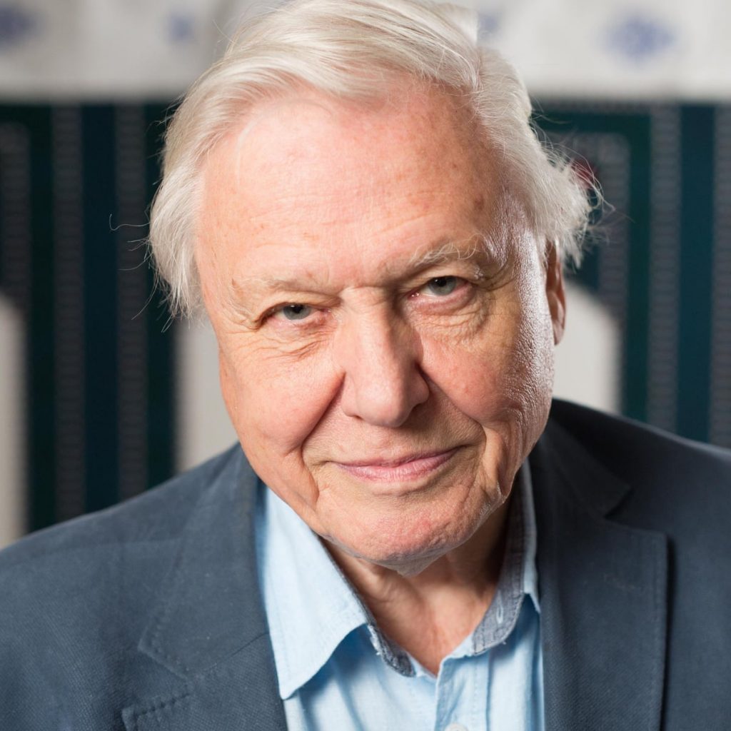 David Attenborough - Biography, Height & Life Story | Super Stars Bio