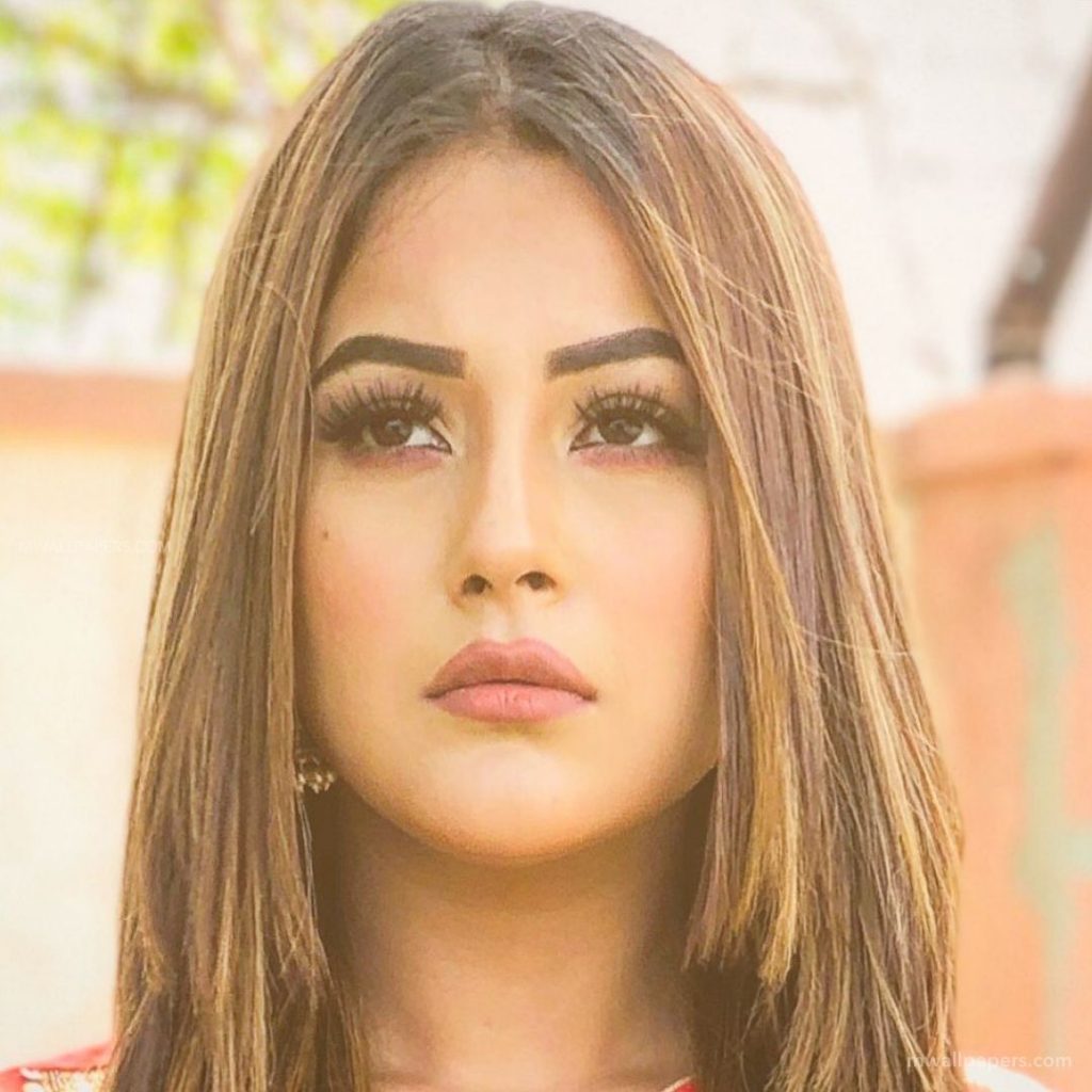 8 Things You Didn't Know About Shahnaz Kaur Gill - Super Stars Bio