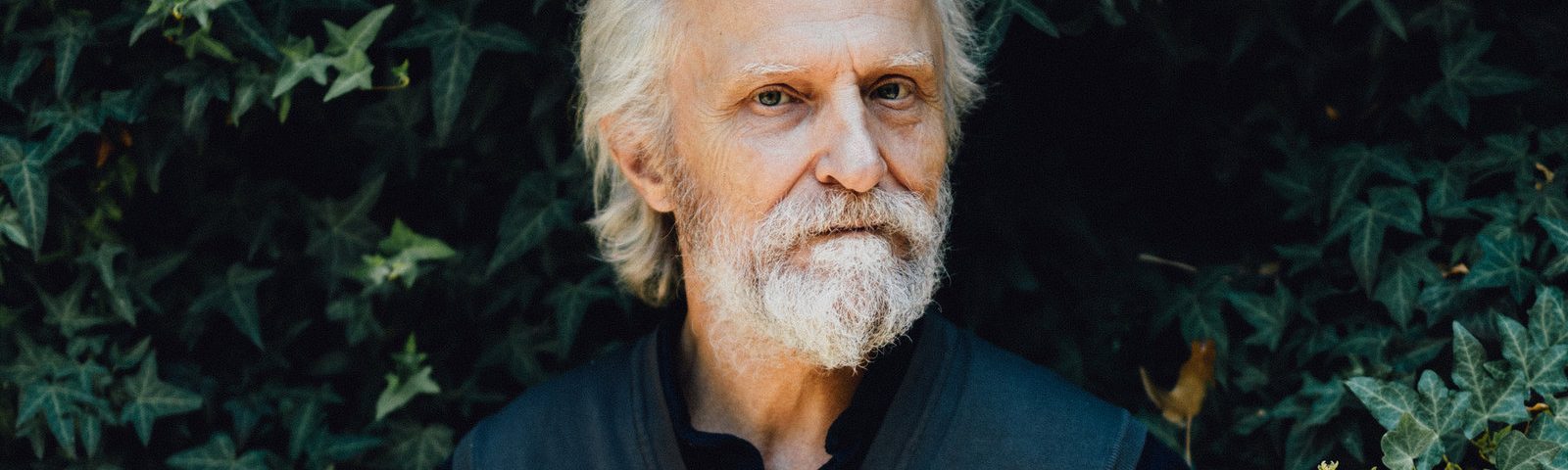 David Patrick Kelly - Biography, Height & Life Story | Super Stars Bio