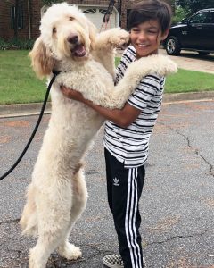 8 Things You Didn't Know About Malachi Barton - Super Stars Bio