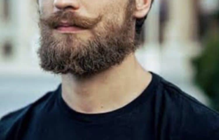 Robert Finster - Biography, Height & Life Story | Super Stars Bio