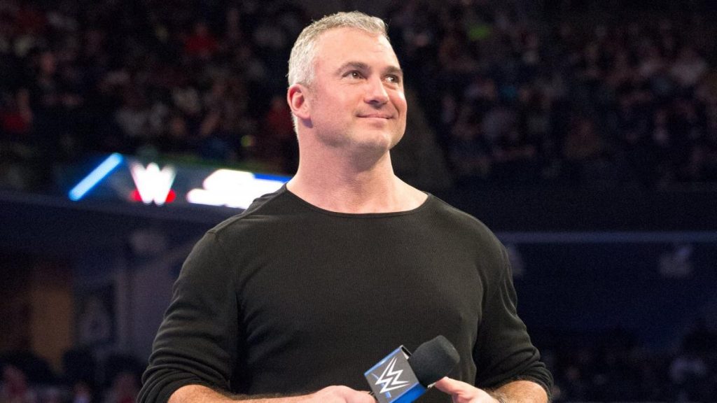 8 Things You Didn't Know About Shane McMahon - Super Stars Bio