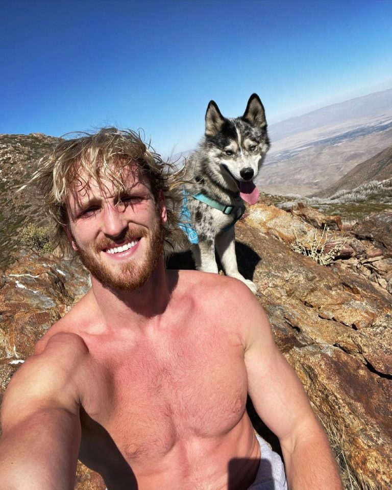 Logan Paul - Biography, Height & Life Story | Super Stars Bio