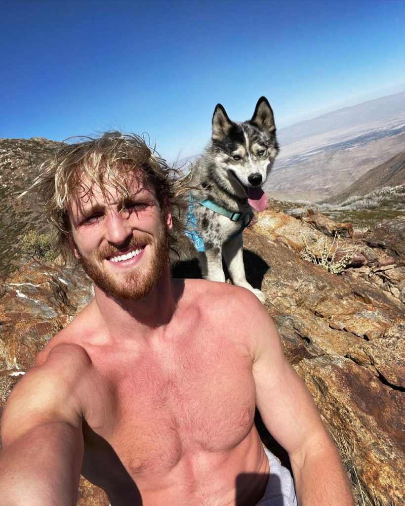 Logan Paul - Biography, Height & Life Story | Super Stars Bio