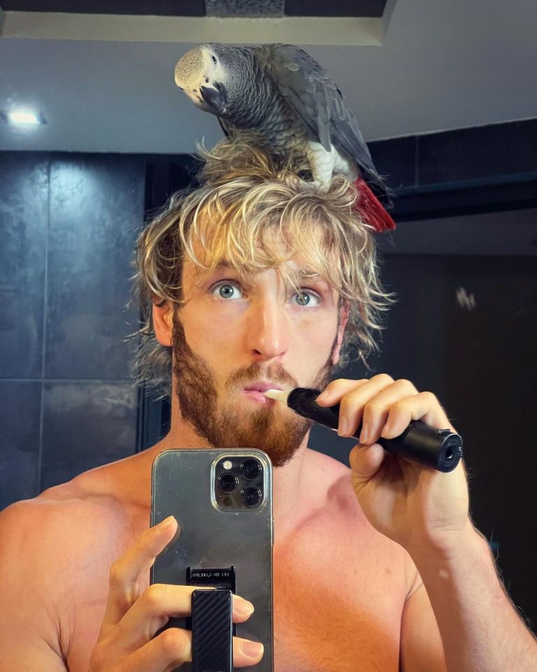 Logan Paul - Biography, Height & Life Story | Super Stars Bio