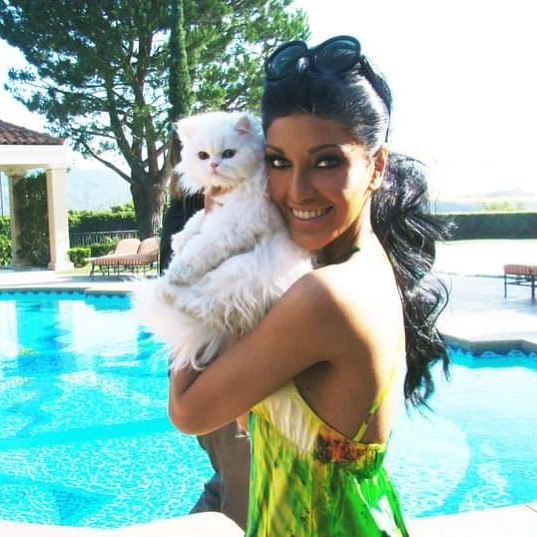 Koena Mitra - Biography, Height & Life Story | Super Stars Bio