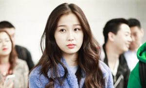 Yu Shuxin - Biography, Height & Life Story | Super Stars Bio