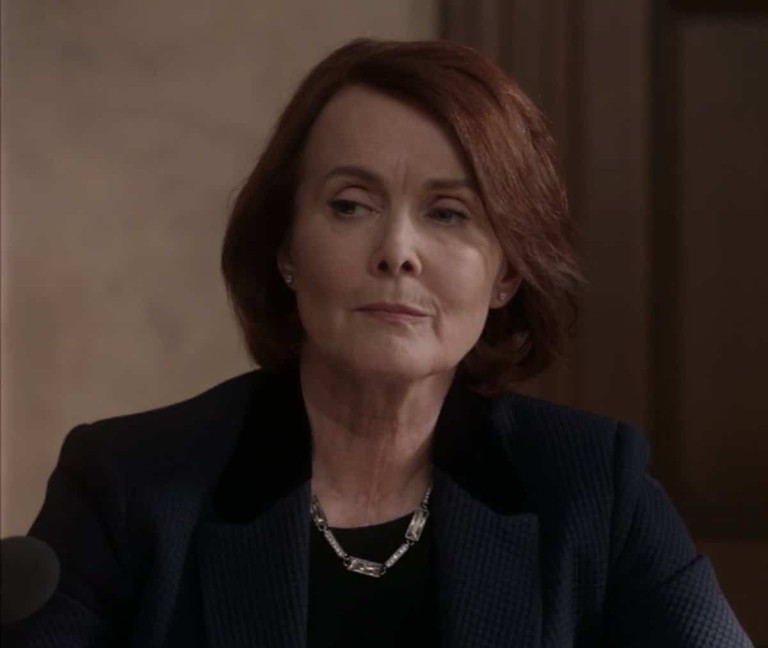 Laura Innes - Biography, Height & Life Story | Super Stars Bio