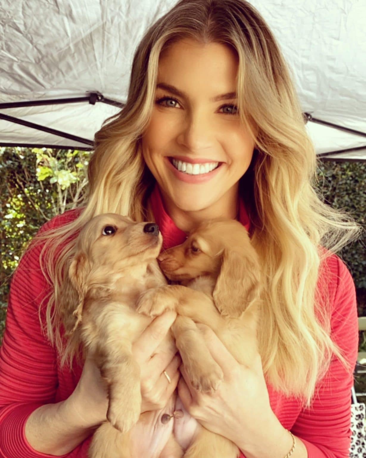 Amanda Kloots - Biography, Height & Life Story | Super Stars Bio