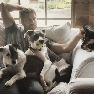 8 Things You Didn't Know About Gerard Butler - Super Stars Bio