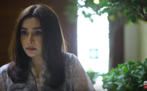 8 Things You Didn't Know About Maira Khan - Super Stars Bio