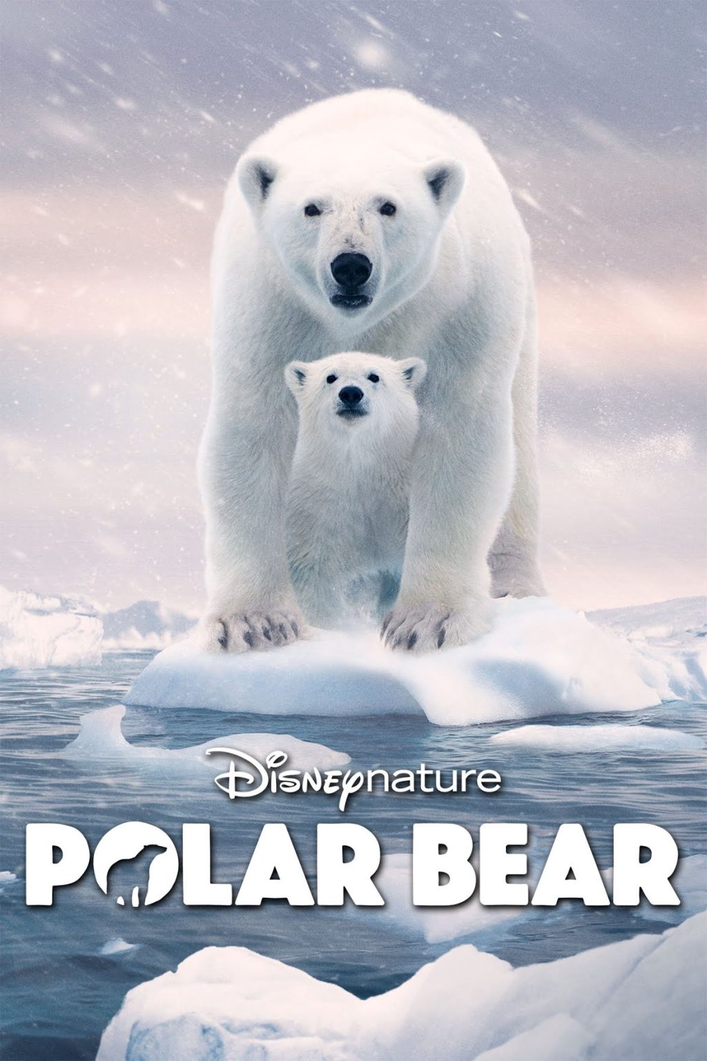 Polar Bear Movie Actors Cast, Director, Producer, Roles, Box Office ...