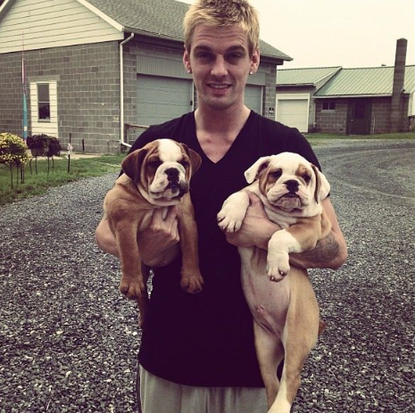 8 Things You Didn't Know About Aaron Carter - Super Stars Bio