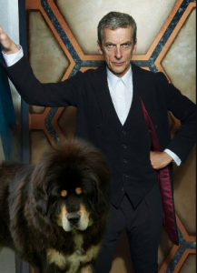 8 Things You Didn't Know About Peter Capaldi - Super Stars Bio