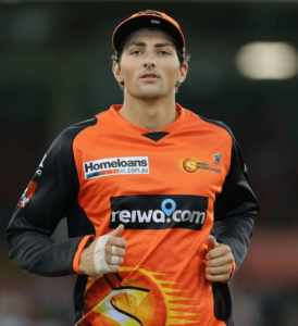 Tim David - Biography, Height & Life Story | Super Stars Bio