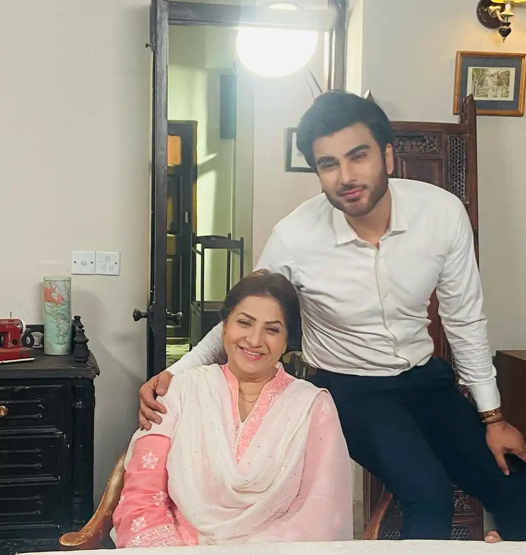 Birjees Farooqui - Biography, Height & Life Story | Super Stars Bio