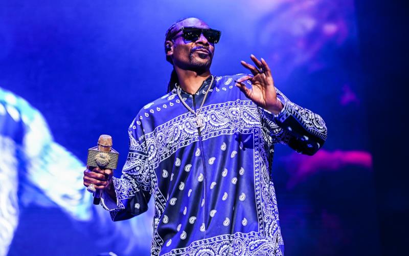 Snoop Dogg: A Legacy in Music, Business, and the Business World