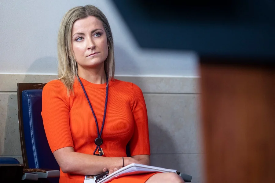Is Sarah Matthews Married? Personal Side of the Political Figure
